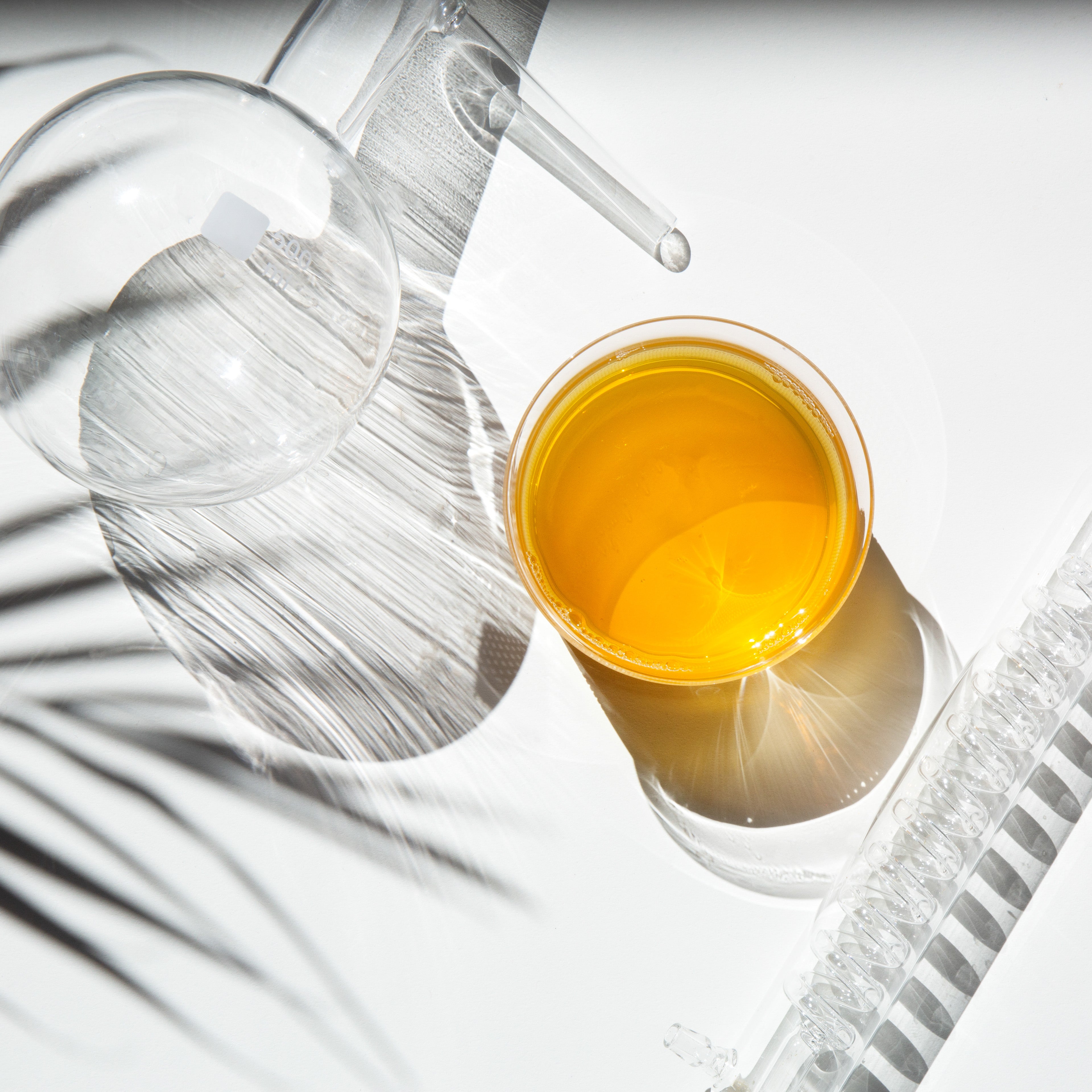 Passion Fruit Green Tea | Organic Passion Fruit Tea | Pique Tea